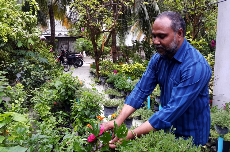 Kaashdhoo: Maa bageechaa thakaa eku 2 an'bah! | Mihaaru