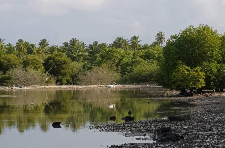 Baarashaai Funadhoo gai tourist hotel alhai dheyne bayaku hoadhanee ...