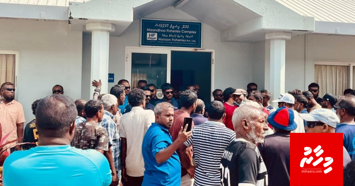 Maandhoo ge massala hallu kuran govaalai kulli massalaeh hushahalhaifi ...
