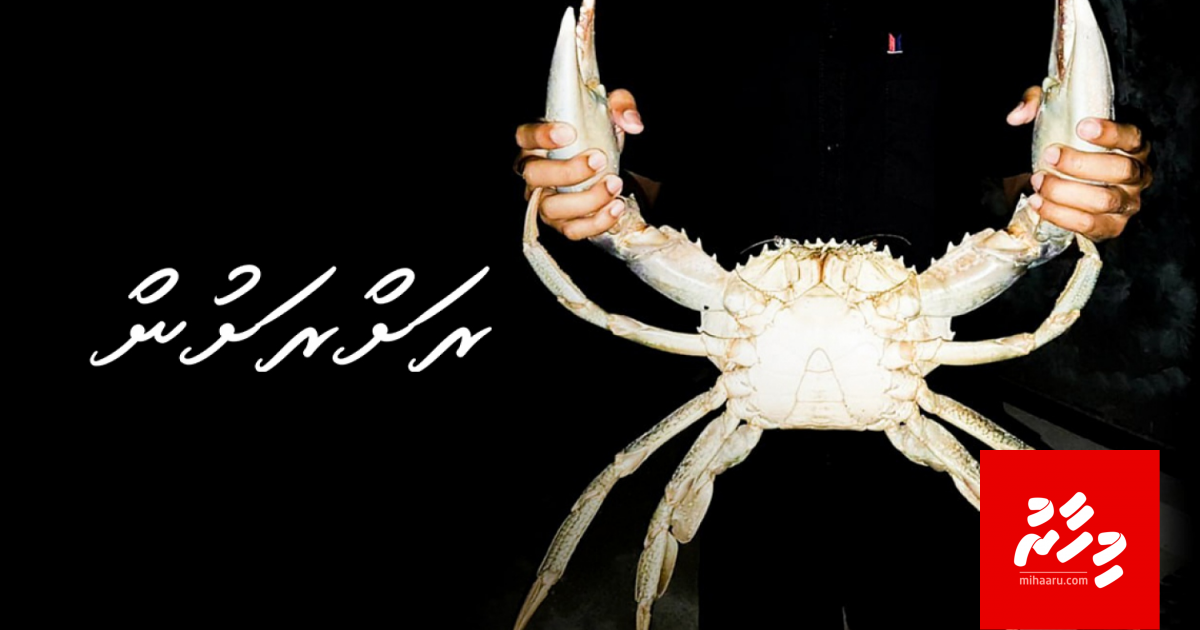 Dhathuru hadhaafai viyas kakuni kaan annan vee Funadhoo ah | Mihaaru