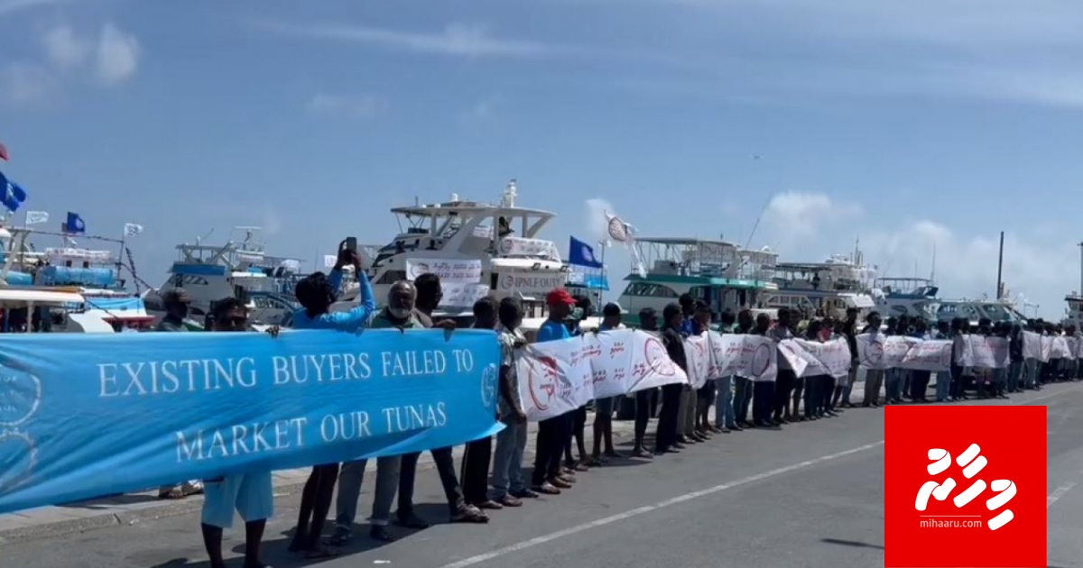Vaudhaa eggothah MIFCO ah bodu kanneli gannan govaalai masverin adu ...