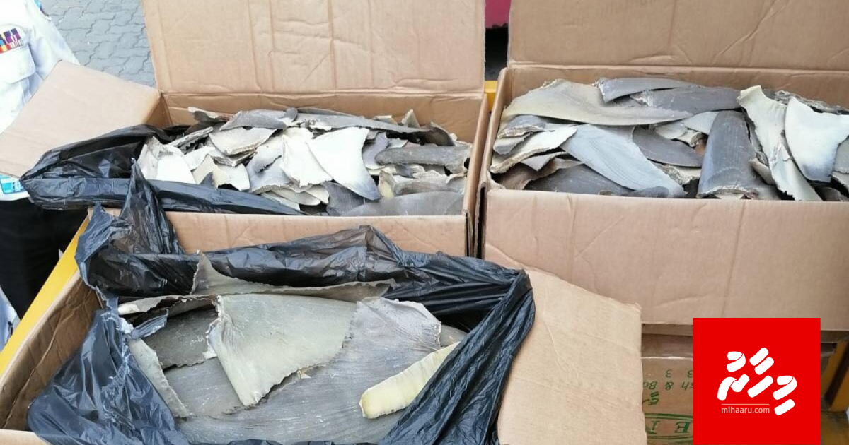 Miyaru uraha vagah beyru kuran ulhunu meehaku 50,000 rufiyaa in ...