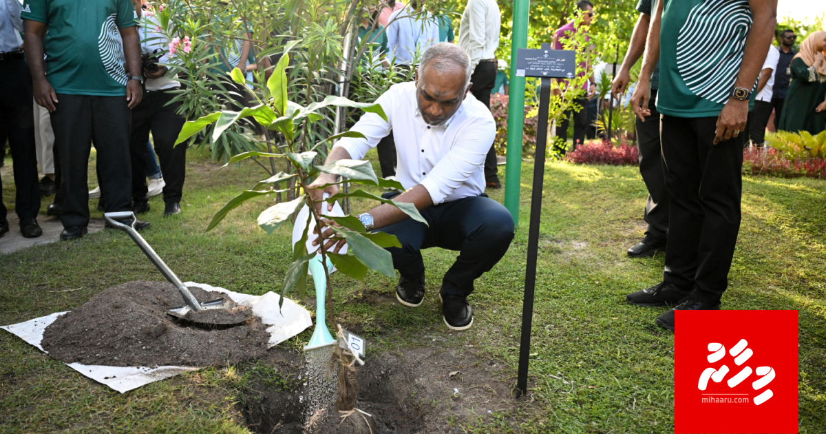 Thimaaveshi himaayaiy kurumah Dhivehin dhey iskamakee gaumee zimmaa eh ...