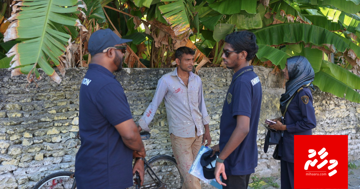 Addu gai ulhey bidheyseen Hama Magah alhuvan Immigration ge operation ...