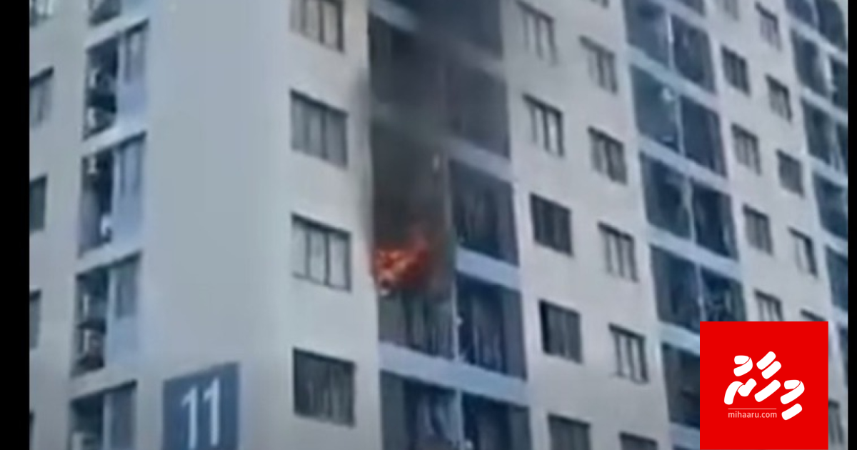 Hiyaa flat ge apartment ehgai alifaan roave, gellun libijje | Mihaaru